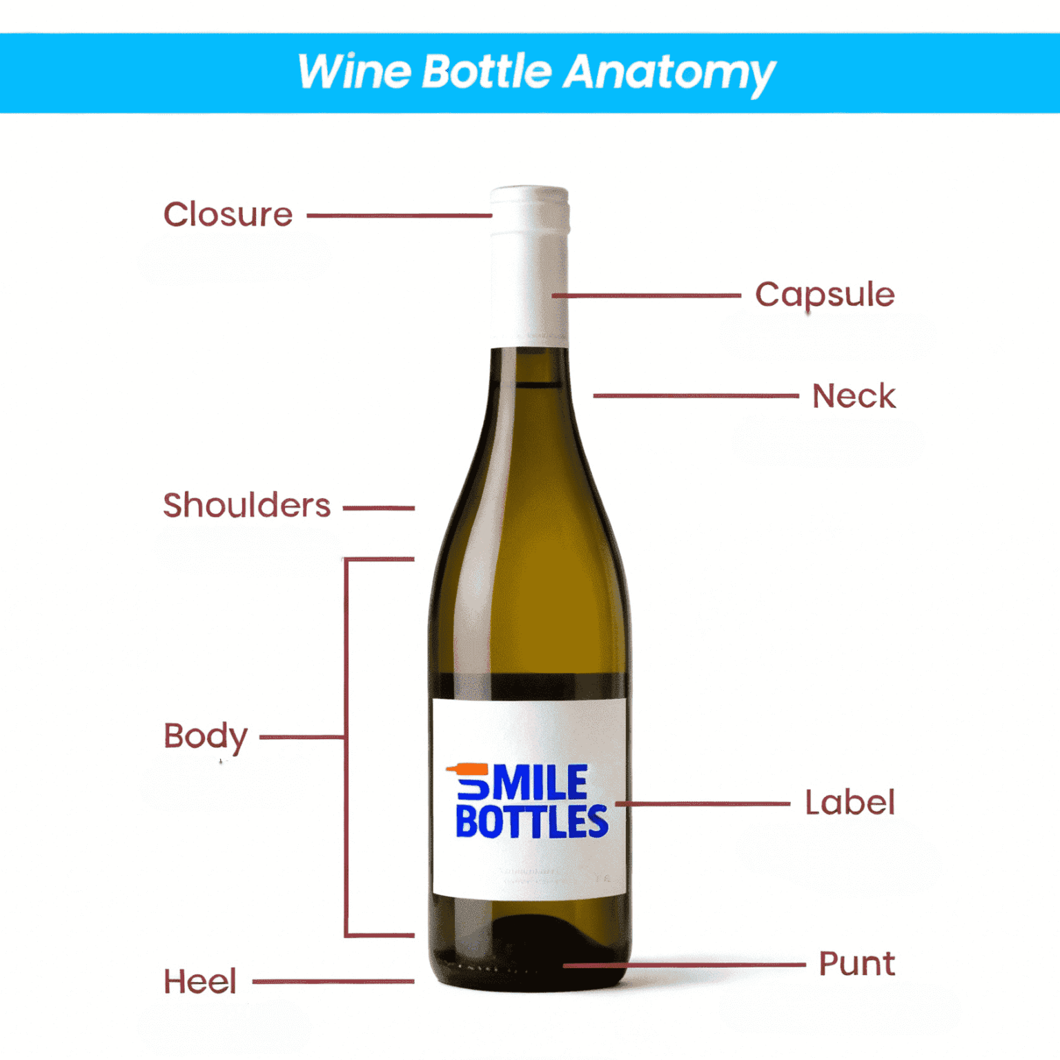 Anatomy of Wine Bottle: Main Parts of Wine Bottle - Smilebottles